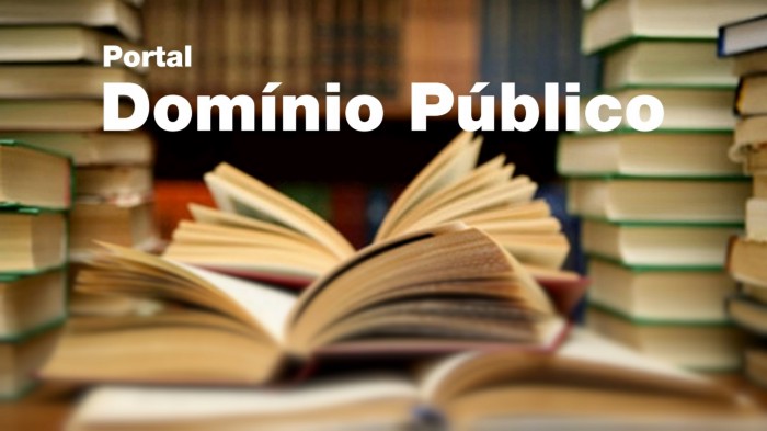 Você Sabe O Que é Domínio Público?