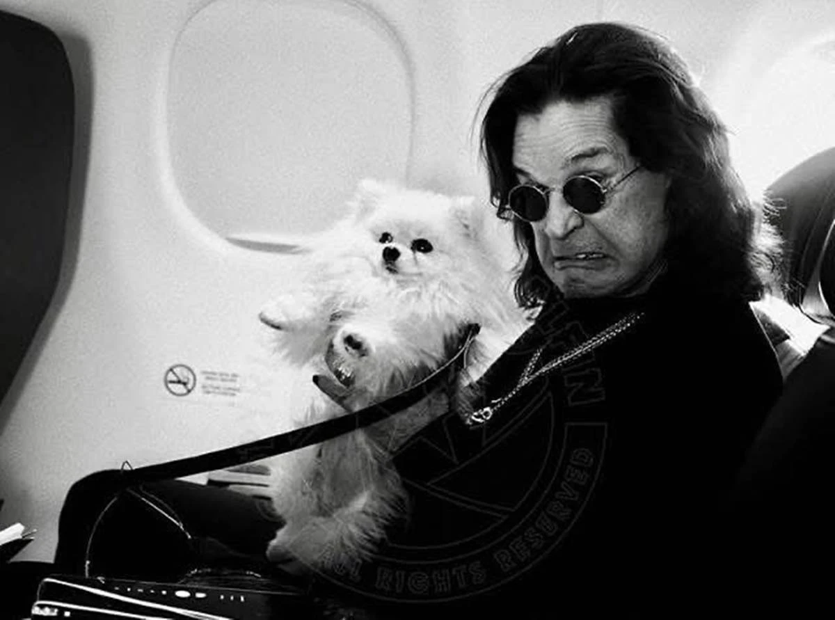Ozzy Osbourne Inicia Rotina Intensa De Treinos Físicos Para Último Show ...